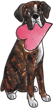 Dog Coat Colour Genetics