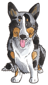 Dog Coat Colour Genetics